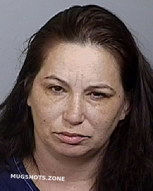 ELWOOD TRINITY J 01/07/2025 - Manatee County Mugshots Zone