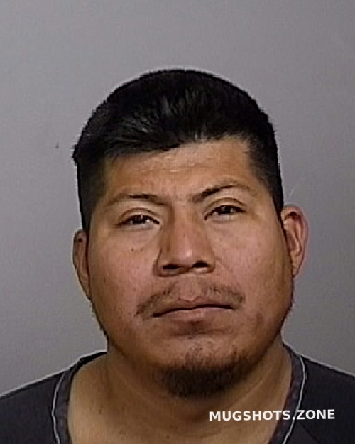 RAMIREZ LOPEZ MAURILIO 01/09/2025 - Manatee County Mugshots Zone