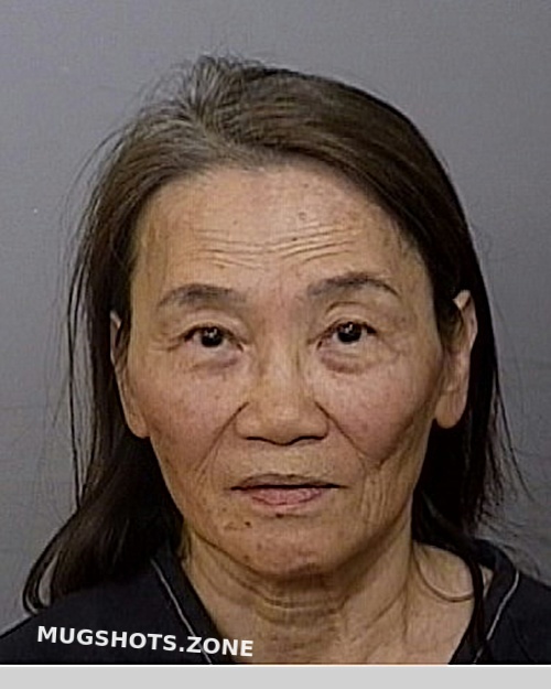 CHAN CASEY FUNG L 01/15/2025 - Manatee County Mugshots Zone