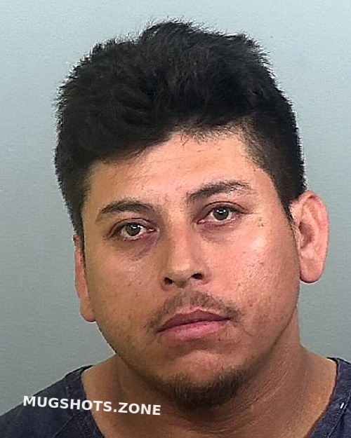 LARA RAMIREZ JUAN C 01/16/2025 - Manatee County Mugshots Zone