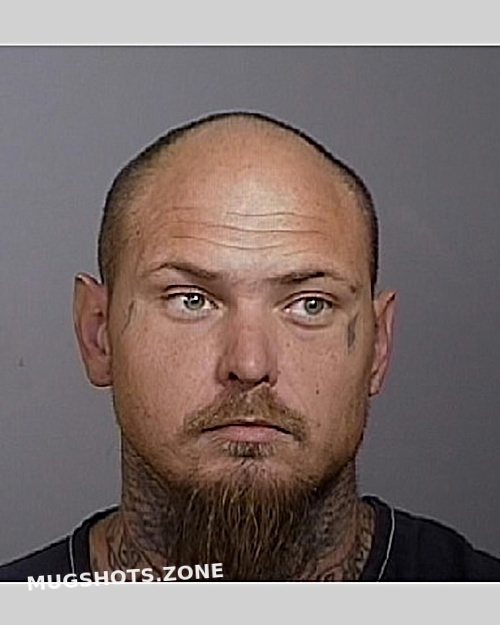 STACKHOUSE MARK T 01/20/2025 - Manatee County Mugshots Zone