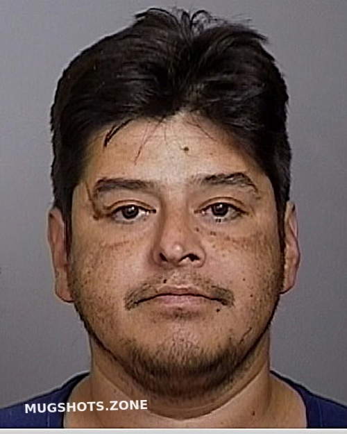 MAREZ EDGAR 01/20/2025 - Manatee County Mugshots Zone