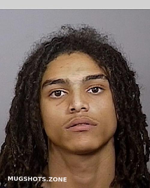 HARRIS CHARLIE J 01/21/2025 - Manatee County Mugshots Zone