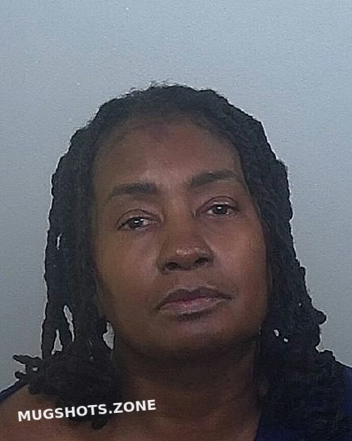 HAMPTON DANETTE 01/25/2025 - Manatee County Mugshots Zone