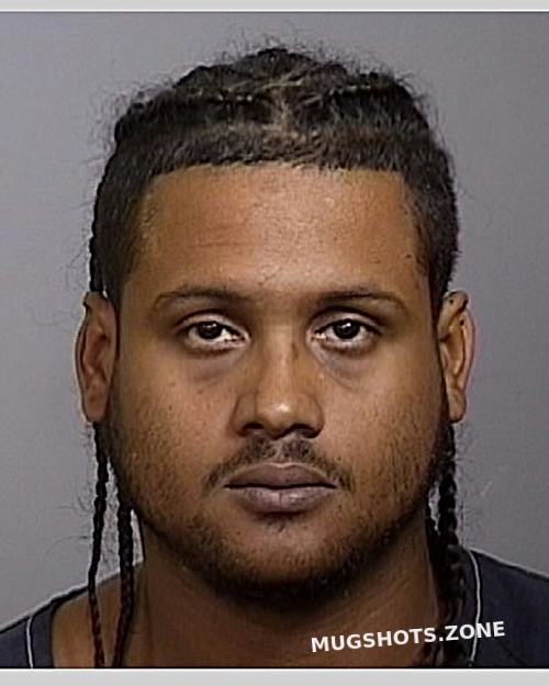 REYES DEVIN 01/26/2025 - Manatee County Mugshots Zone