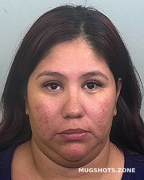 CHAVEZ BRENDA 01/27/2025 - Manatee County Mugshots Zone