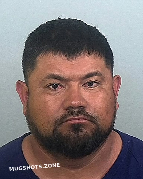 REYES-REYES PEDRO I 01/31/2025 - Manatee County Mugshots Zone
