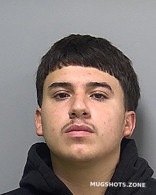 ALBARRAN ADRIAN 02/01/2025 - Manatee County Mugshots Zone