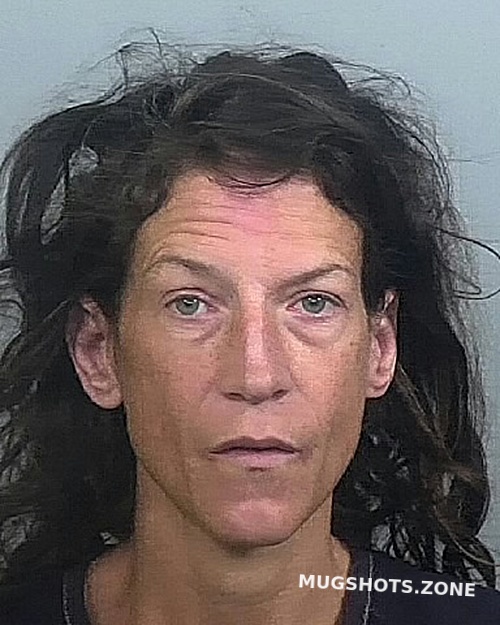 TINDALL TRACI L 02/05/2025 - Manatee County Mugshots Zone