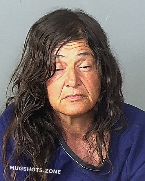 ULLOA DIAZ OLGA L 02/06/2025 - Manatee County Mugshots Zone