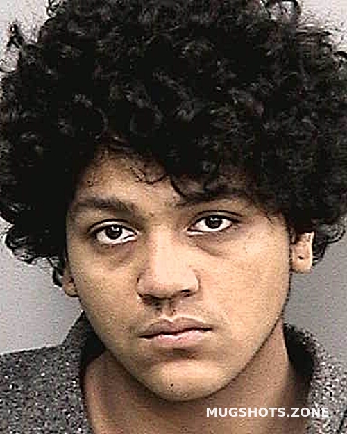 VELAZQUEZ ISAIAH E 02/09/2025 - Manatee County Mugshots Zone