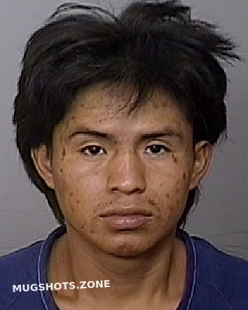 US TOJIN JUAN C 02/10/2025 - Manatee County Mugshots Zone