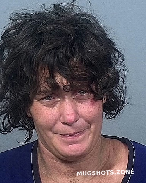 MATHEOS PEGGY C 02/18/2025 - Manatee County Mugshots Zone