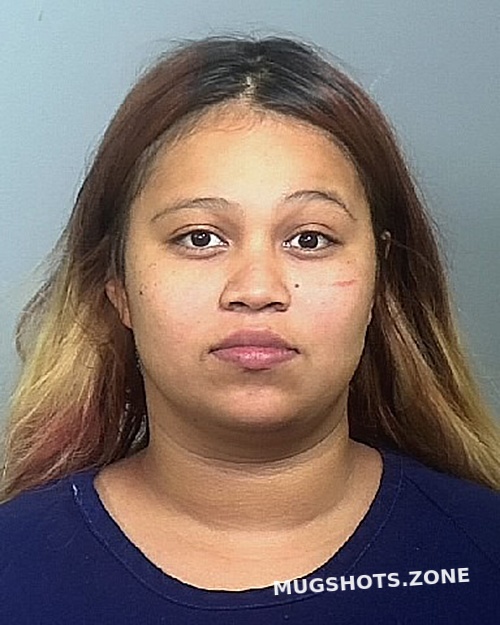 GILES-ALVAREZ RUBY 02/22/2025 - Manatee County Mugshots Zone