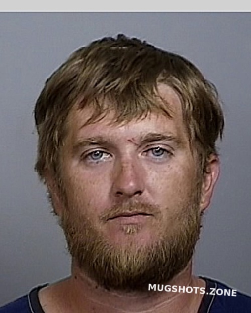 WILLIS KENNETH W 02/22/2025 - Manatee County Mugshots Zone