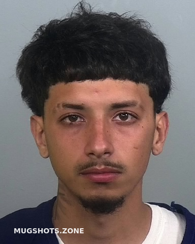 PEDRAZA-RIOS ANGEL 03/06/2025 - Manatee County Mugshots Zone