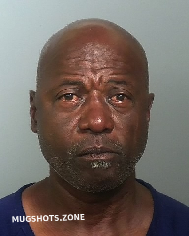 BROWN JAMES 03/13/2025 - Manatee County Mugshots Zone