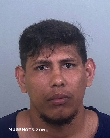 TORRES REYES DERWIN JAFANCO 03/20/2025 - Manatee County Mugshots Zone