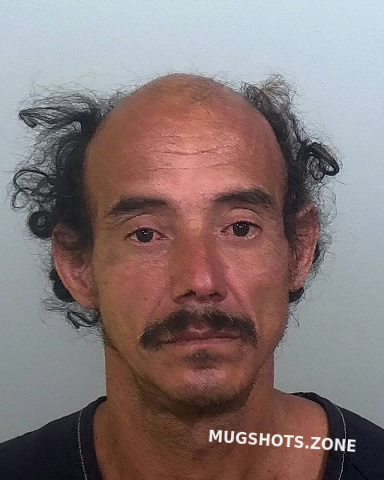 DE JESUS DAVID MALAVE 04/10/2025 - Manatee County Mugshots Zone