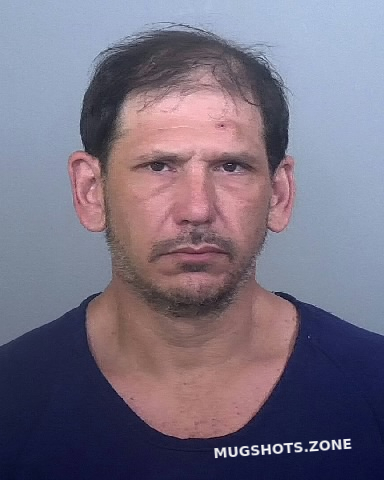 DAVIS SETH BENJAMIN 04/15/2025 - Manatee County Mugshots Zone
