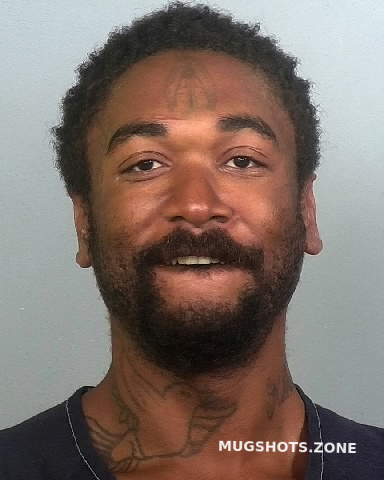 BROWDY JERRY JEROME 04/20/2025 - Manatee County Mugshots Zone