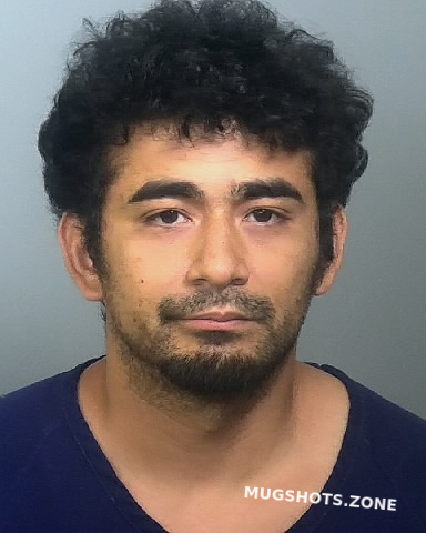 POSADA CHRISTOPHER ALEXANDER 05/02/2025 - Manatee County Mugshots Zone