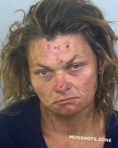 LISTON STEPHANIE ANN 05/02/2025 - Manatee County Mugshots Zone