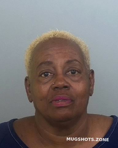 WILLIAMS DEBRA JEAN 05/06/2025 - Manatee County Mugshots Zone