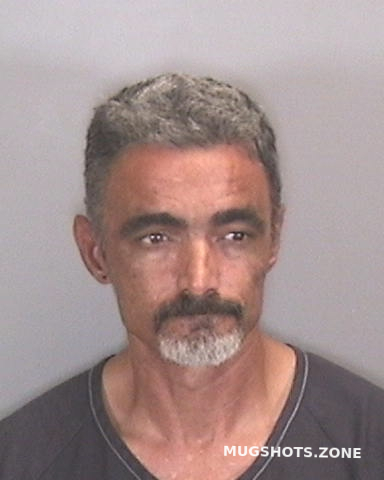 SOTOLONGO ANTHONY SERGIO 05/12/2025 - Manatee County Mugshots Zone