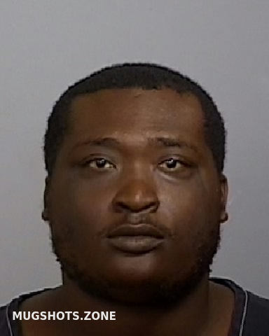 JONES JARVIS LAMAR 05/20/2025 - Manatee County Mugshots Zone