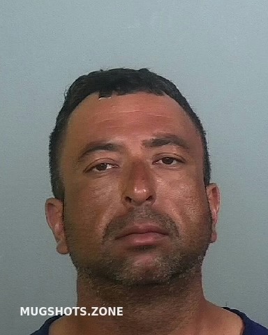 REYES VALLADARES JOSE 05/23/2025 - Manatee County Mugshots Zone