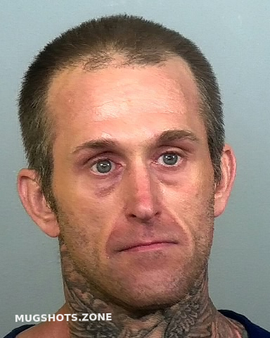 YORK MATTHEW JOSHUA 06/03/2025 - Manatee County Mugshots Zone