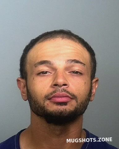 HAMEL BRIAN ANTHONY 06/11/2025 - Manatee County Mugshots Zone