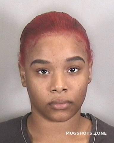 PALMER-MARTIN ROBIN L 06/16/2025 - Manatee County Mugshots Zone