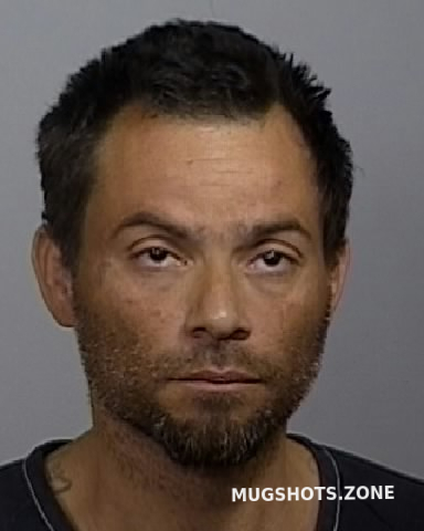 CARRIZALES DUSTIN LUIS 06/17/2025 - Manatee County Mugshots Zone