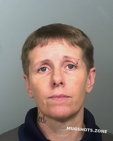 WELLS YOLANDA MARIE 06/19/2025 - Manatee County Mugshots Zone