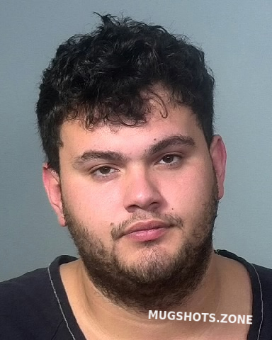 MANGUAL LUKE CHRISTOPHER 06/20/2025 - Manatee County Mugshots Zone