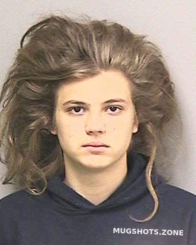 TALOS PRODAN MARIUS GAVRIIL 07/18/2025 - Manatee County Mugshots Zone