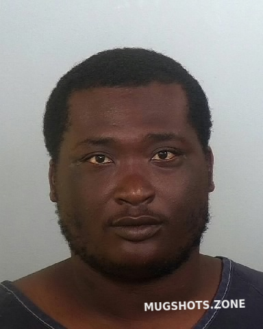 JONES JARVIS LAMAR 07/20/2025 - Manatee County Mugshots Zone