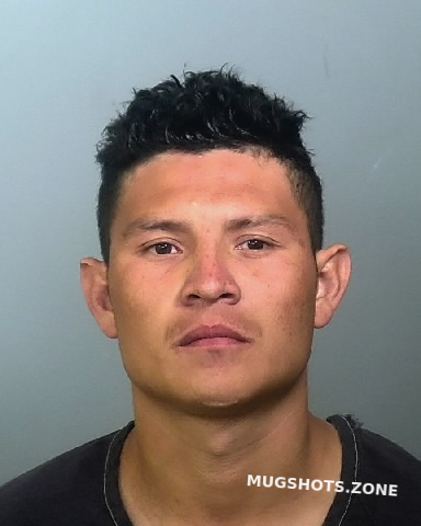 REYES JORGE GEOVANNY 07/29/2025 - Manatee County Mugshots Zone