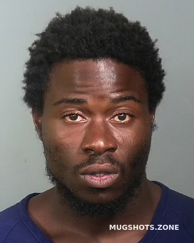BRAND AARON DEVON 09/01/2025 - Manatee County Mugshots Zone