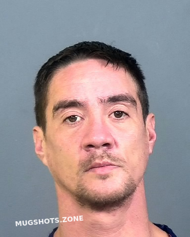 LORING DOUGLAS RAMA 09/02/2025 - Manatee County Mugshots Zone