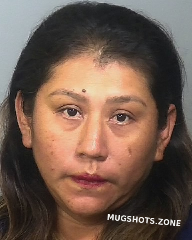 VALLEJO-ALARCON IRMA 10/10/2025 - Manatee County Mugshots Zone