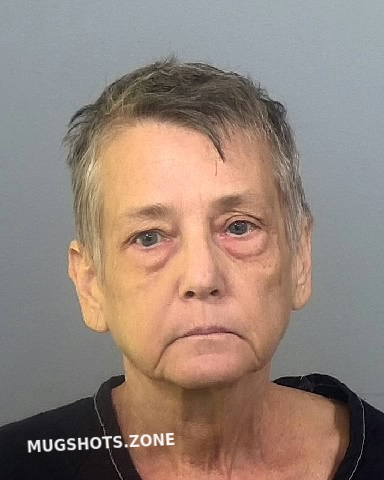 STOUFFER SUSAN MARIE 10/13/2025 - Manatee County Mugshots Zone