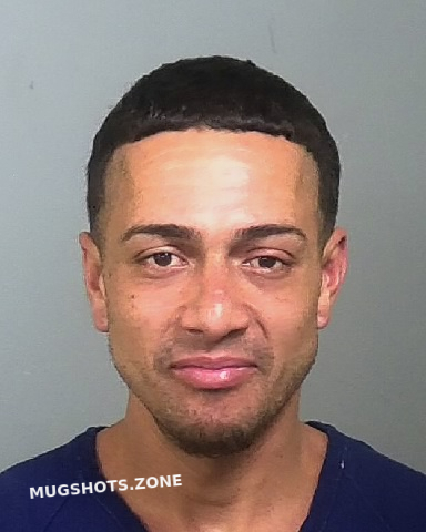 LOPEZ-MUNIZ MICHAEL ANGELO 10/24/2025 - Manatee County Mugshots Zone