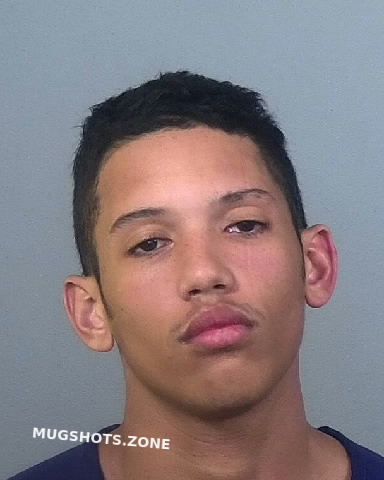 ROBERTS TYRESE XAVIER 10/25/2025 - Manatee County Mugshots Zone