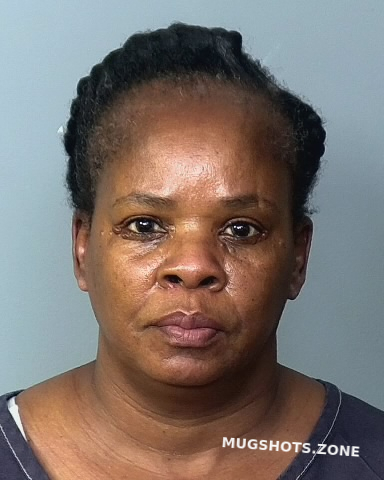 WARREN DEIRDRE DENISE 11/27/2025 - Manatee County Mugshots Zone