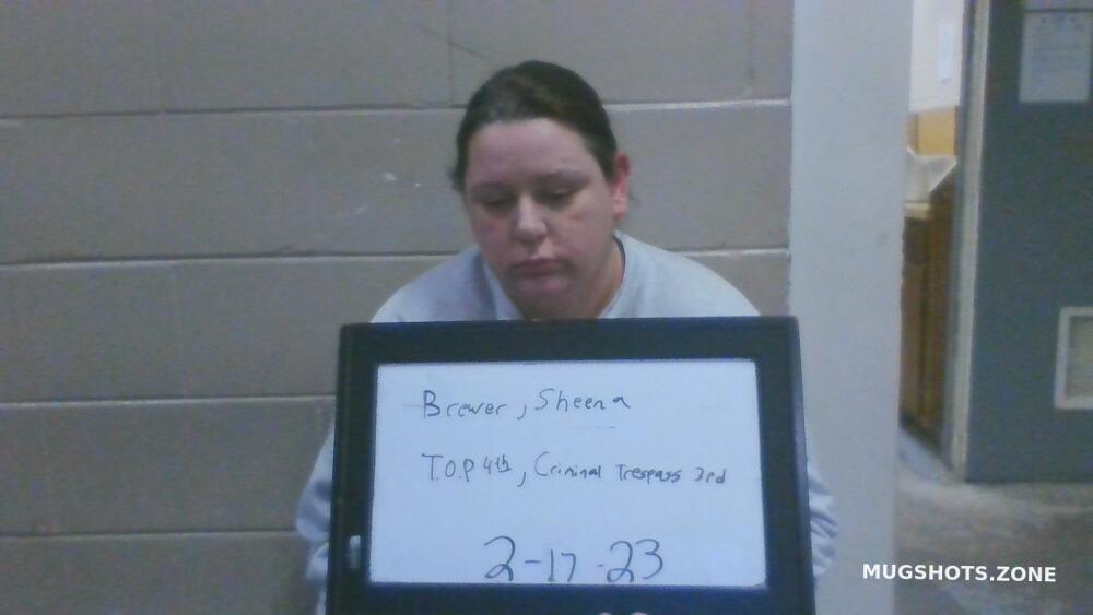 SHEENA BREWER 02/17/2023 - Marion County Mugshots Zone