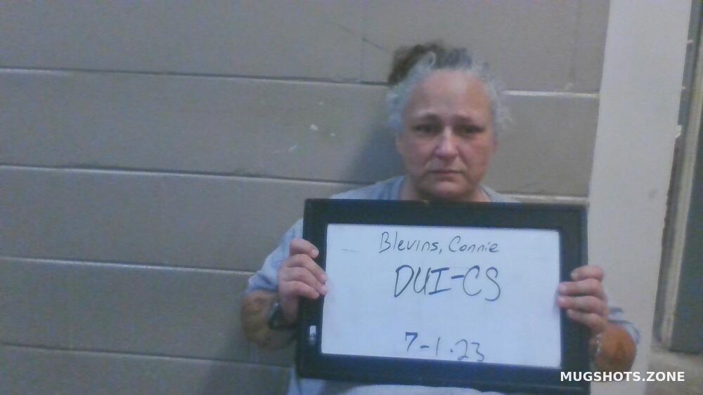 CONNIE BLEVINS 07/01/2023 - Marion County Mugshots Zone