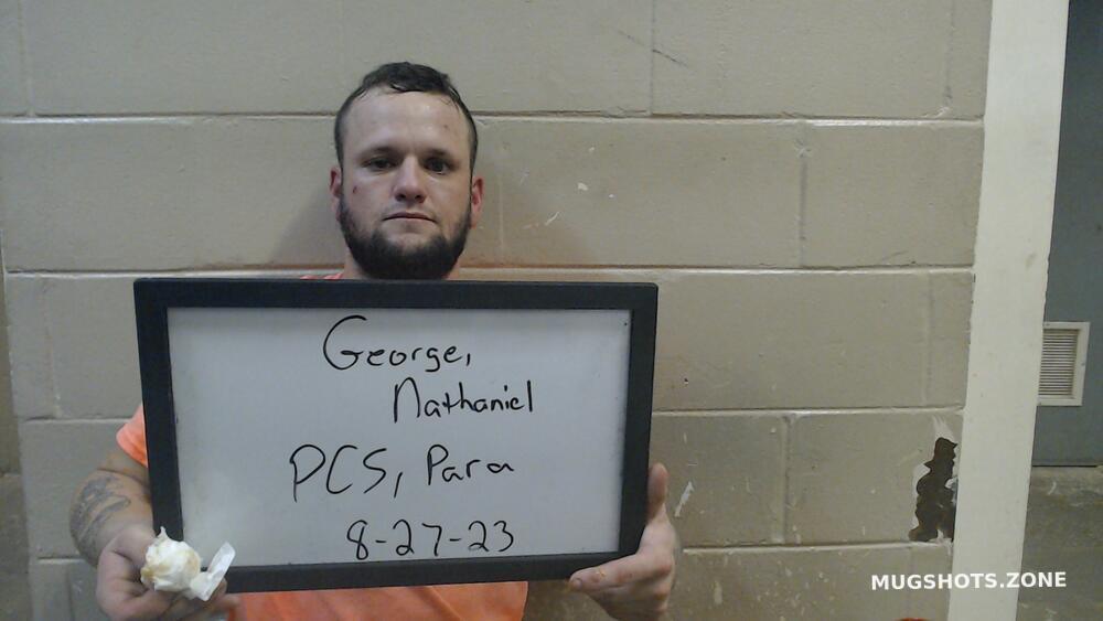 NATHANIEL GEORGE 08/27/2023 - Marion County Mugshots Zone